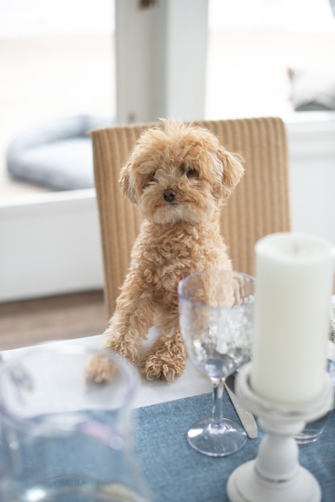 5 Entertaining Essentials For New Homeowners - Life on Phillips Lane