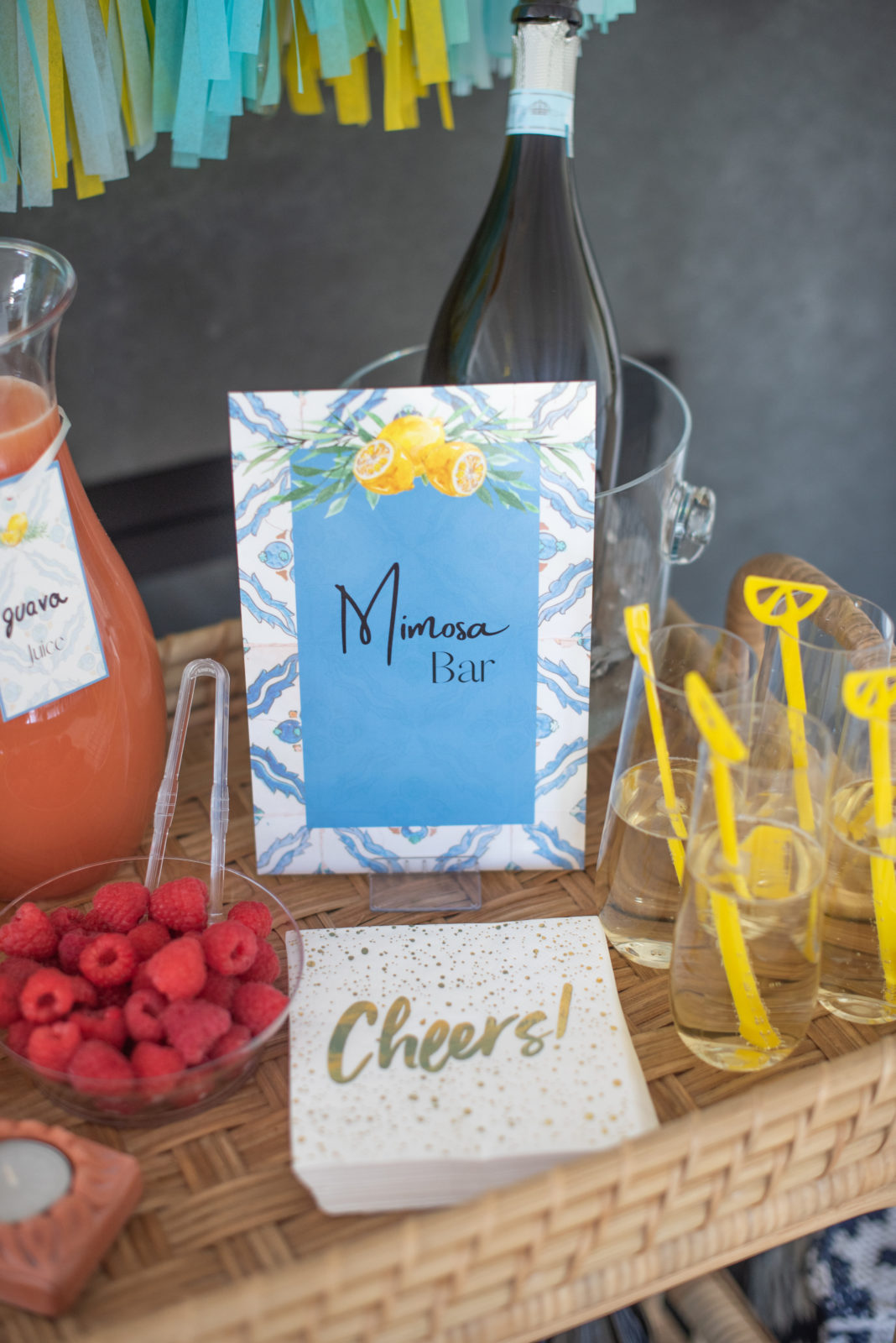 Mimosa Bar In A Box By Hooray Soirée - Life on Phillips Lane